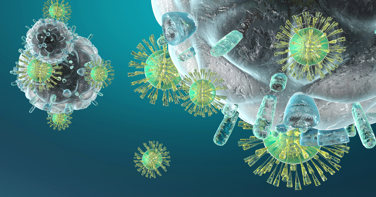 How Does The Immune System Work When It Comes To Cancer CTCA
